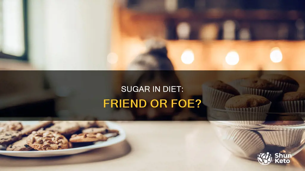 Sugar In Diet: Friend Or Foe? | ShunKeto