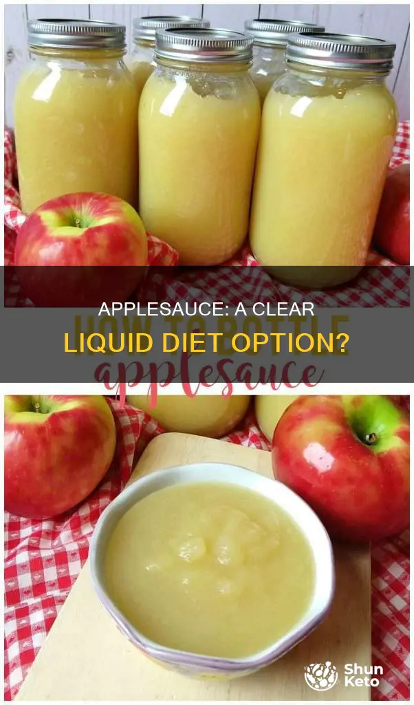 Applesauce: A Clear Liquid Diet Option? | ShunKeto