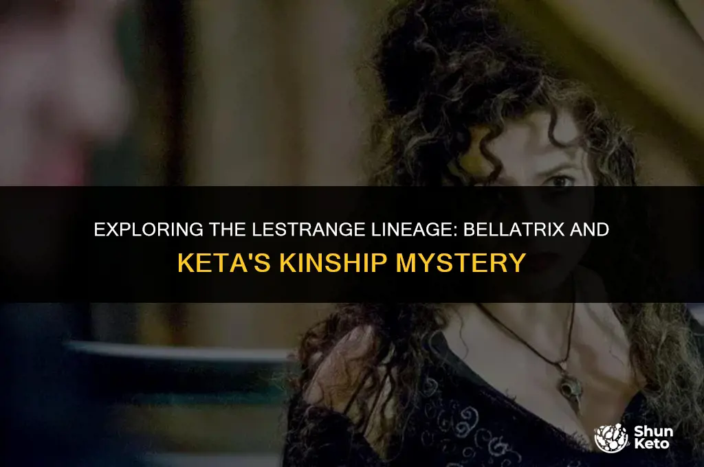 Exploring The Lestrange Lineage: Bellatrix And Keta's Kinship Mystery ...
