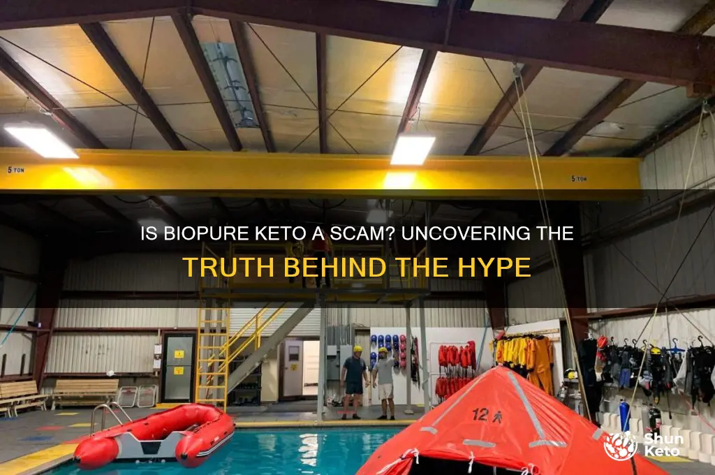 Is Biopure Keto A Scam? Uncovering The Truth Behind The Hype | ShunKeto