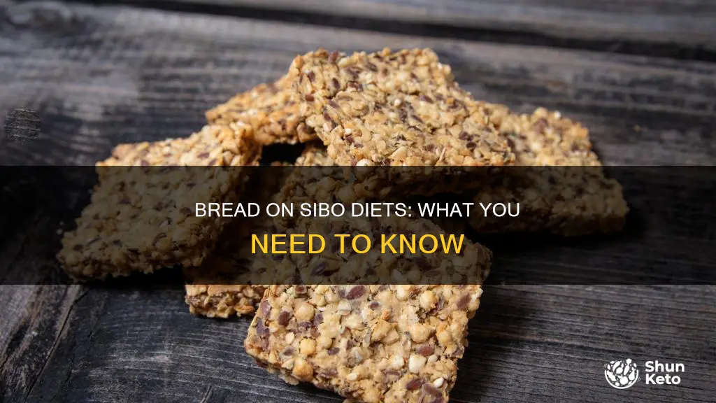 Bread On Sibo Diets: What You Need To Know | ShunKeto