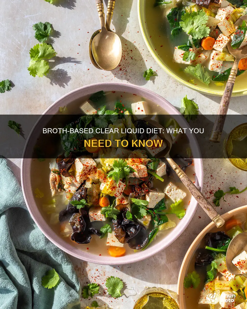 Broth-Based Clear Liquid Diet: What You Need To Know | ShunKeto