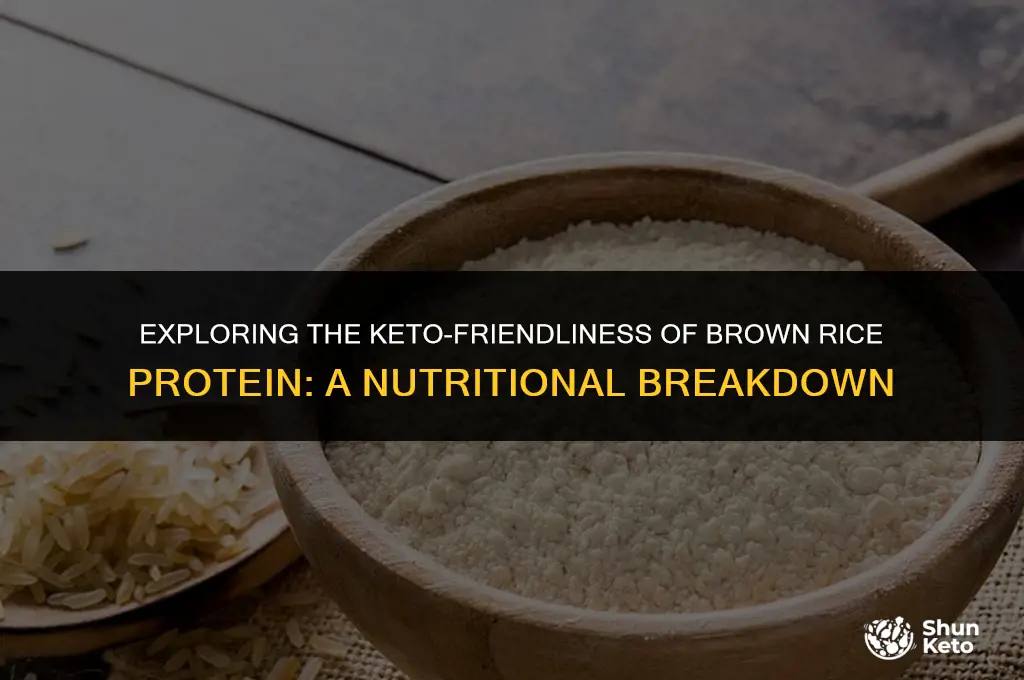 Exploring The Keto-Friendliness Of Brown Rice Protein: A Nutritional ...