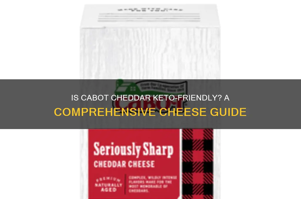 Is Cabot Cheddar Keto-Friendly? A Comprehensive Cheese Guide | ShunKeto