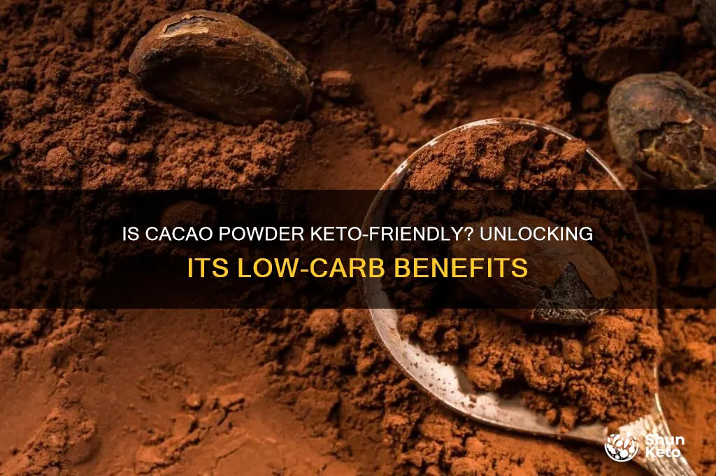 Is Cacao Powder Keto-Friendly? Unlocking Its Low-Carb Benefits | ShunKeto