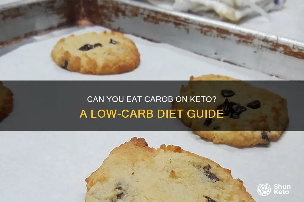 Can You Eat Carob On Keto? A Low-Carb Diet Guide | ShunKeto