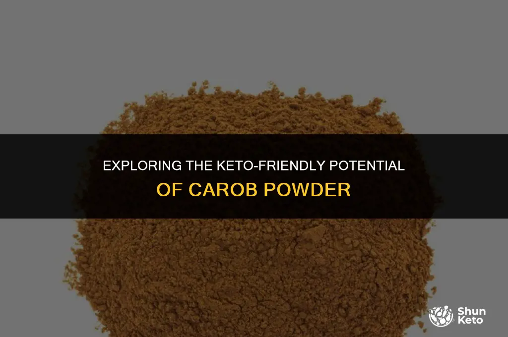 Exploring The Keto-Friendly Potential Of Carob Powder | ShunKeto