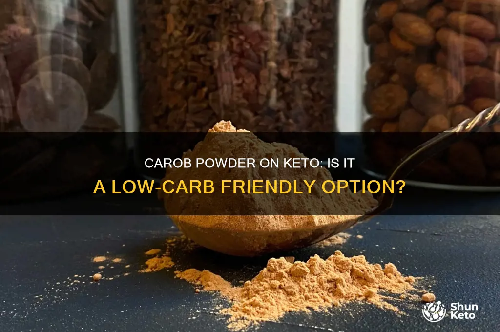Carob Powder On Keto: Is It A Low-Carb Friendly Option? | ShunKeto