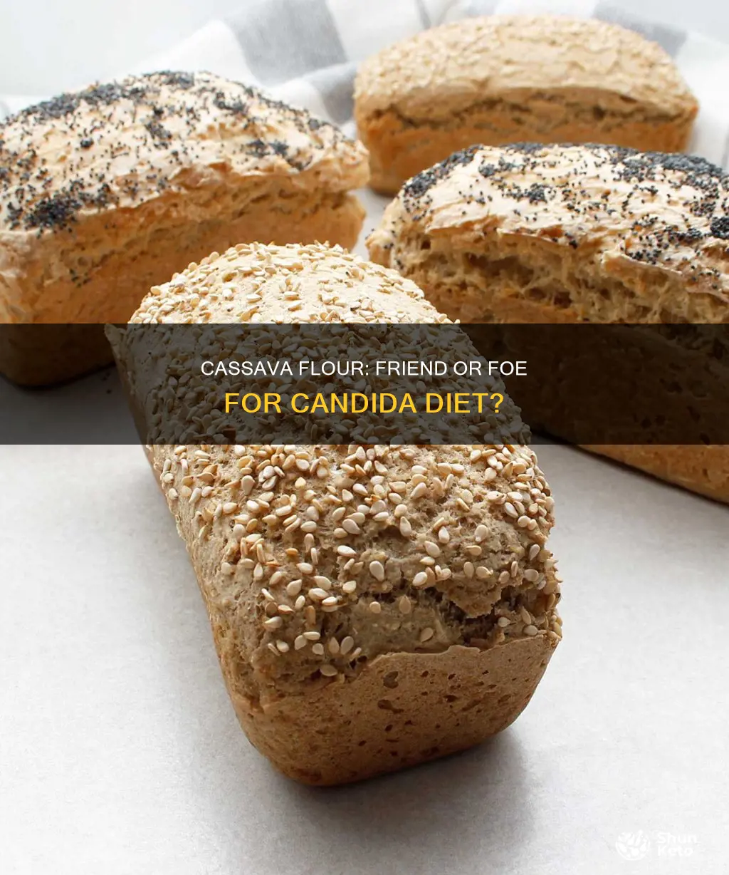 Cassava Flour: Friend Or Foe For Candida Diet? | ShunKeto
