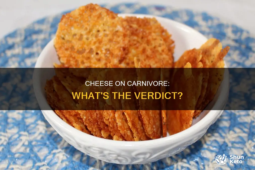 Cheese On Carnivore: What's The Verdict? | ShunKeto