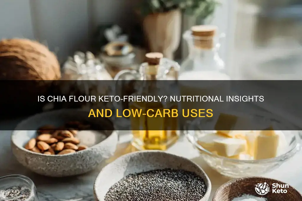 Is Chia Flour Keto-Friendly? Nutritional Insights And Low-Carb Uses ...
