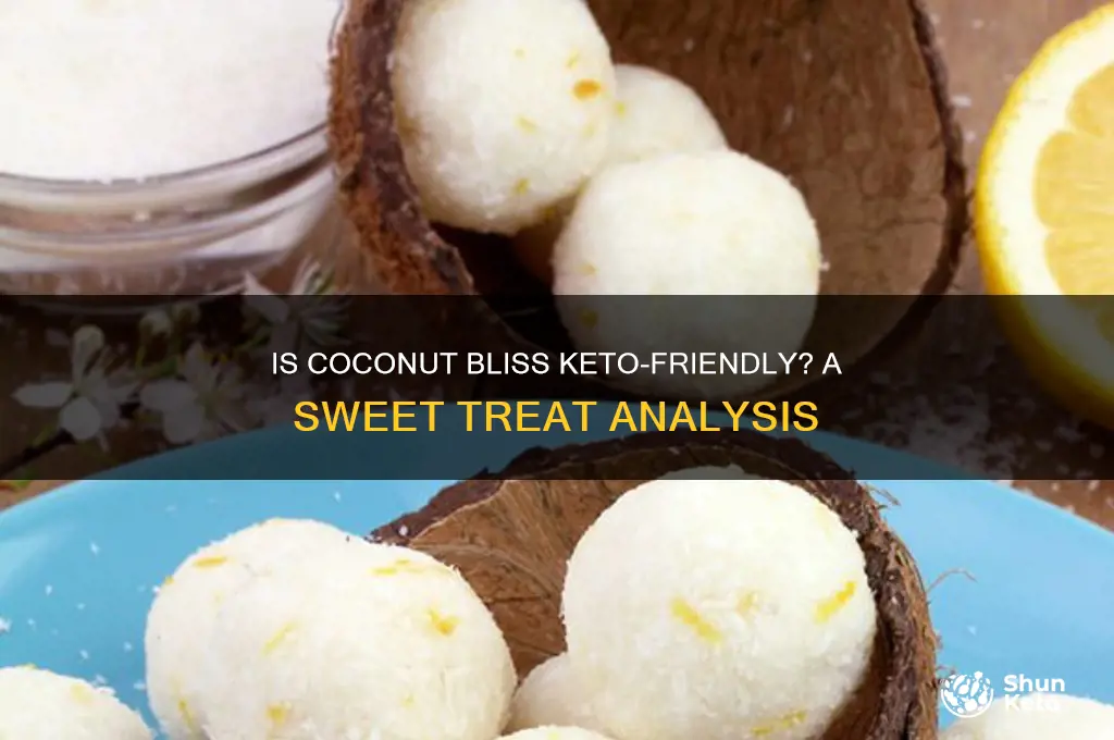 Is Coconut Bliss Keto-Friendly? A Sweet Treat Analysis | ShunKeto