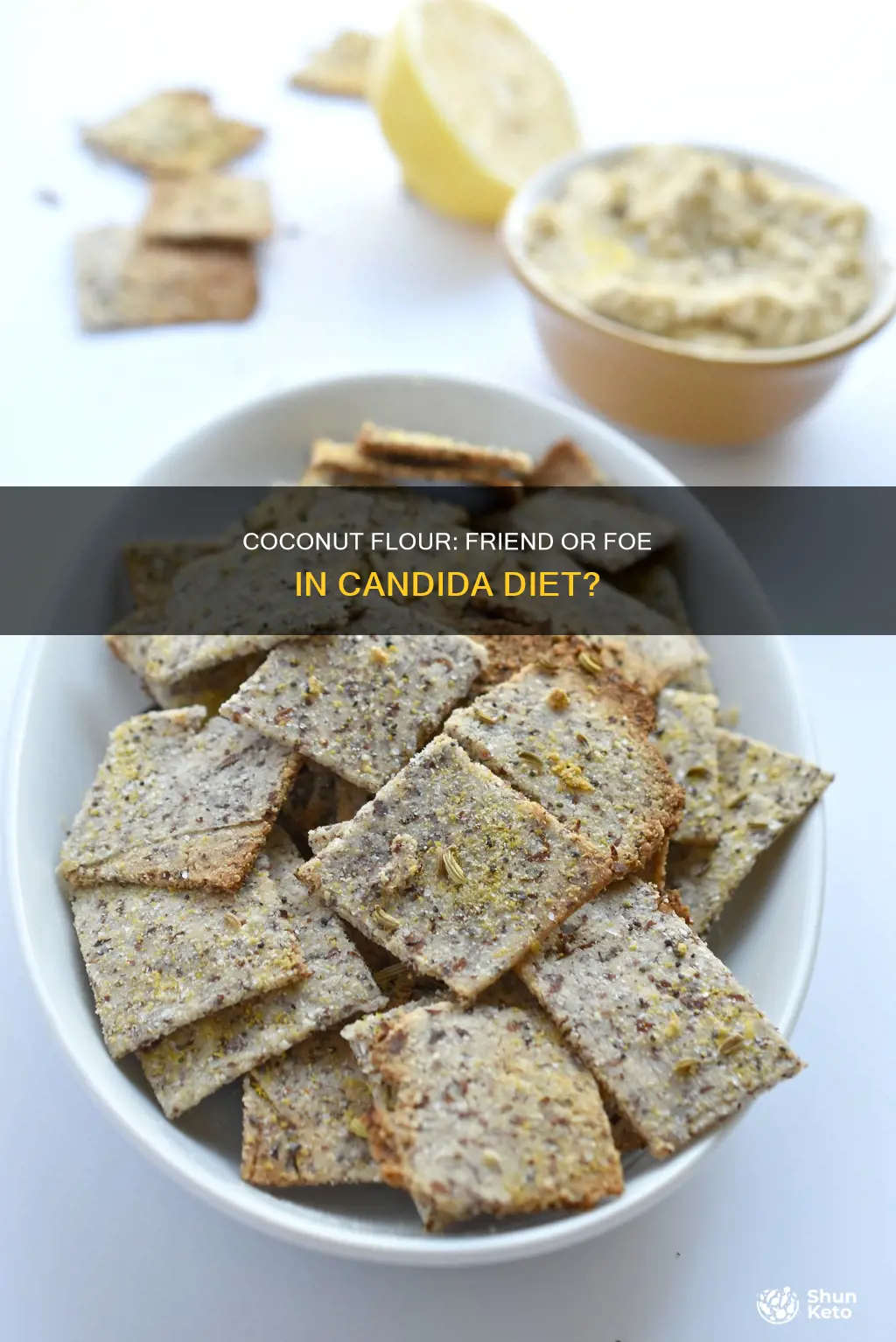 Coconut Flour: Friend Or Foe In Candida Diet? | ShunKeto