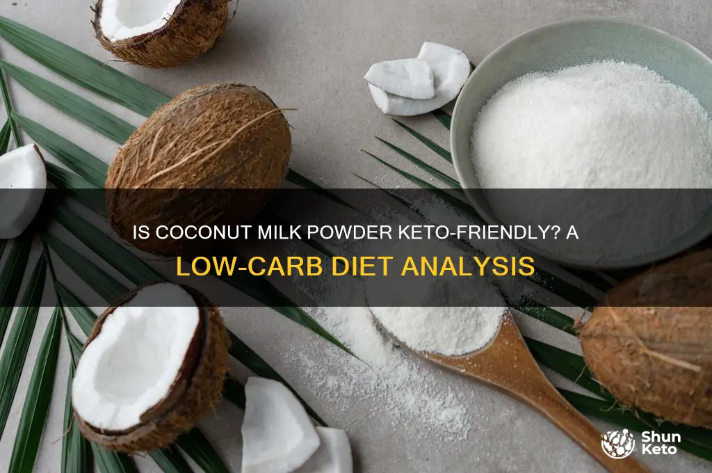 Is Coconut Milk Powder Keto-Friendly? A Low-Carb Diet Analysis | ShunKeto