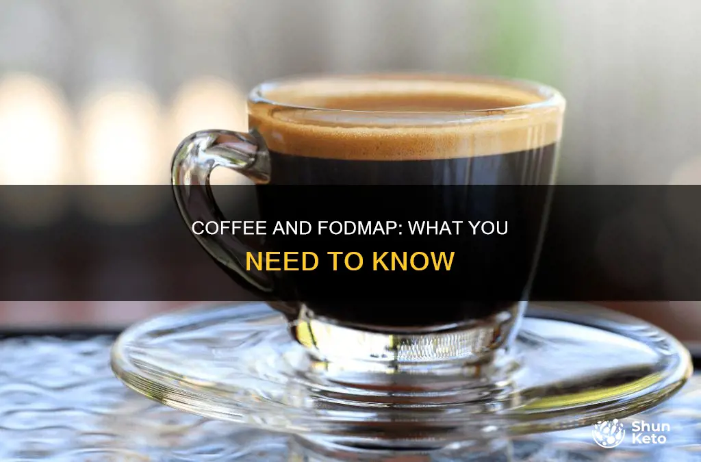 Coffee And Fodmap: What You Need To Know | ShunKeto
