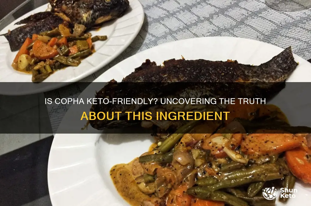 Is Copha Keto-Friendly? Uncovering The Truth About This Ingredient ...