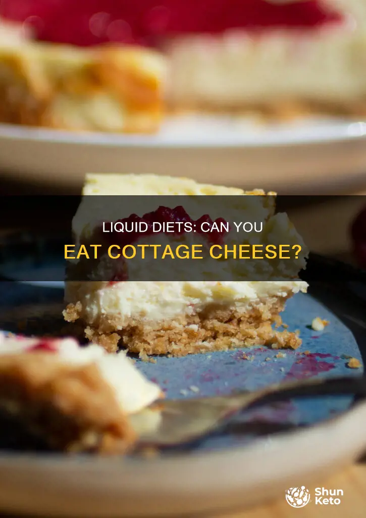 Liquid Diets: Can You Eat Cottage Cheese? | ShunKeto