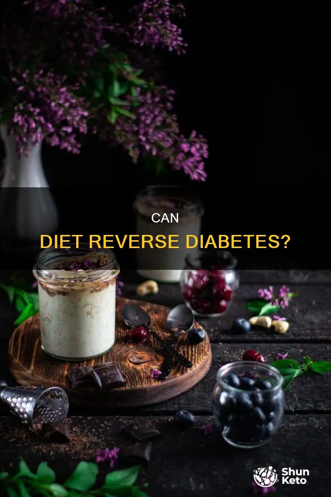 Can Diet Reverse Diabetes? | ShunKeto