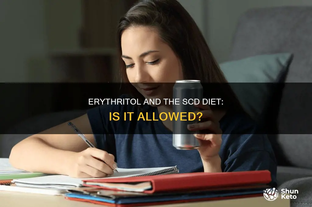 Erythritol And The Scd Diet: Is It Allowed? | ShunKeto