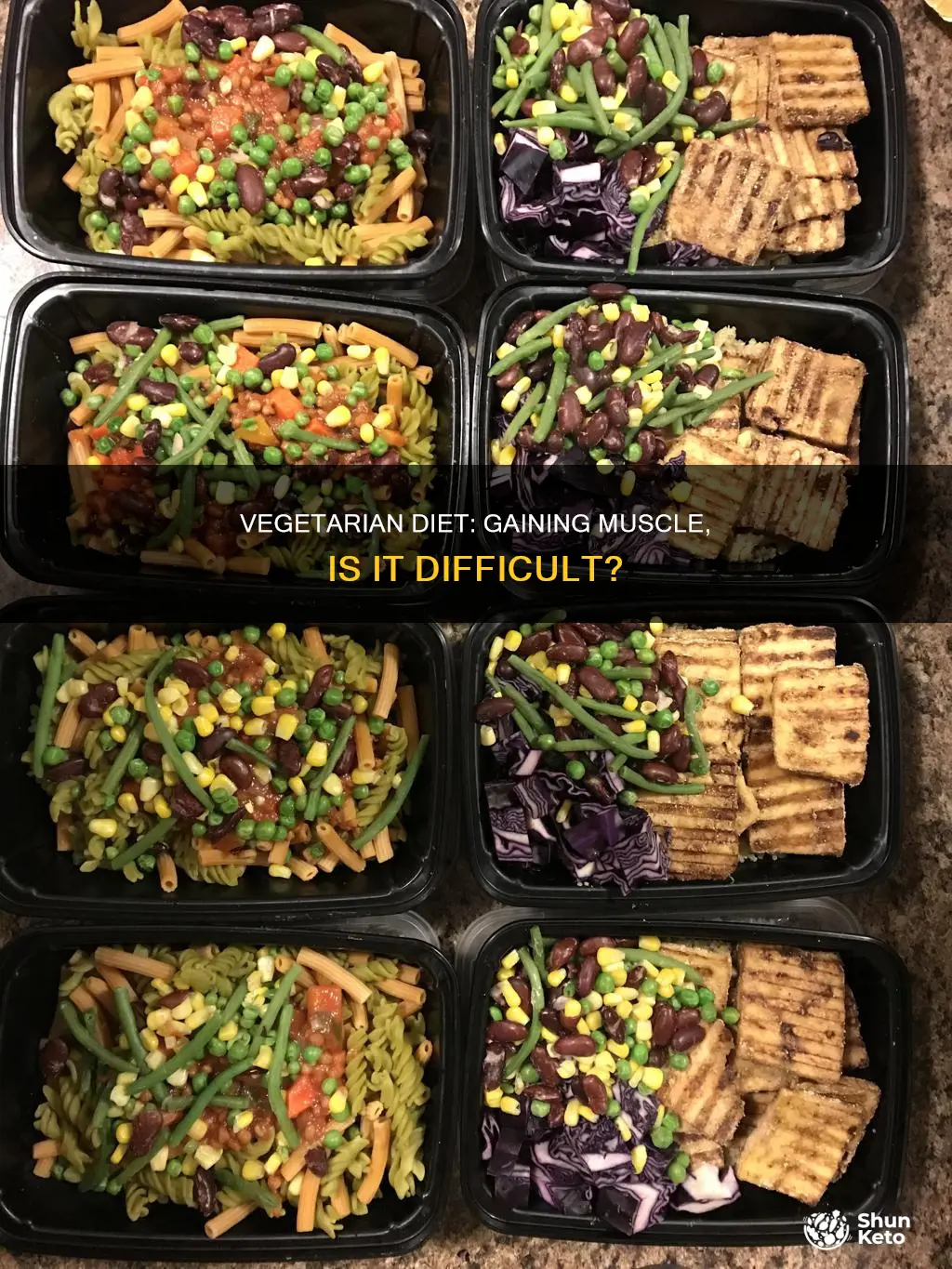 Vegetarian Diet: Gaining Muscle, Is It Difficult? | ShunKeto