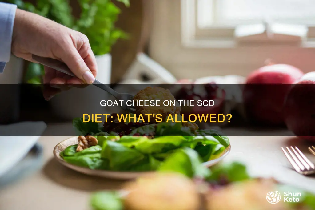 Goat Cheese On The Scd Diet: What's Allowed? | ShunKeto