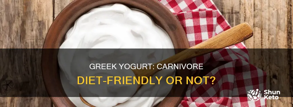 Greek Yogurt: Carnivore Diet-Friendly Or Not? | ShunKeto