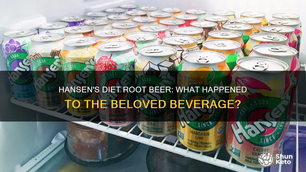 Hansen's Diet Root Beer: What Happened To The Beloved Beverage? | ShunKeto
