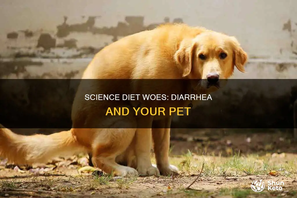 Science Diet Woes: Diarrhea And Your Pet | ShunKeto