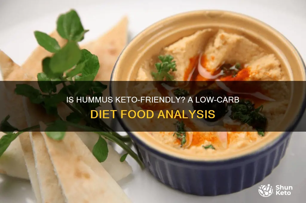 Is Hummus Keto-Friendly? A Low-Carb Diet Food Analysis | ShunKeto