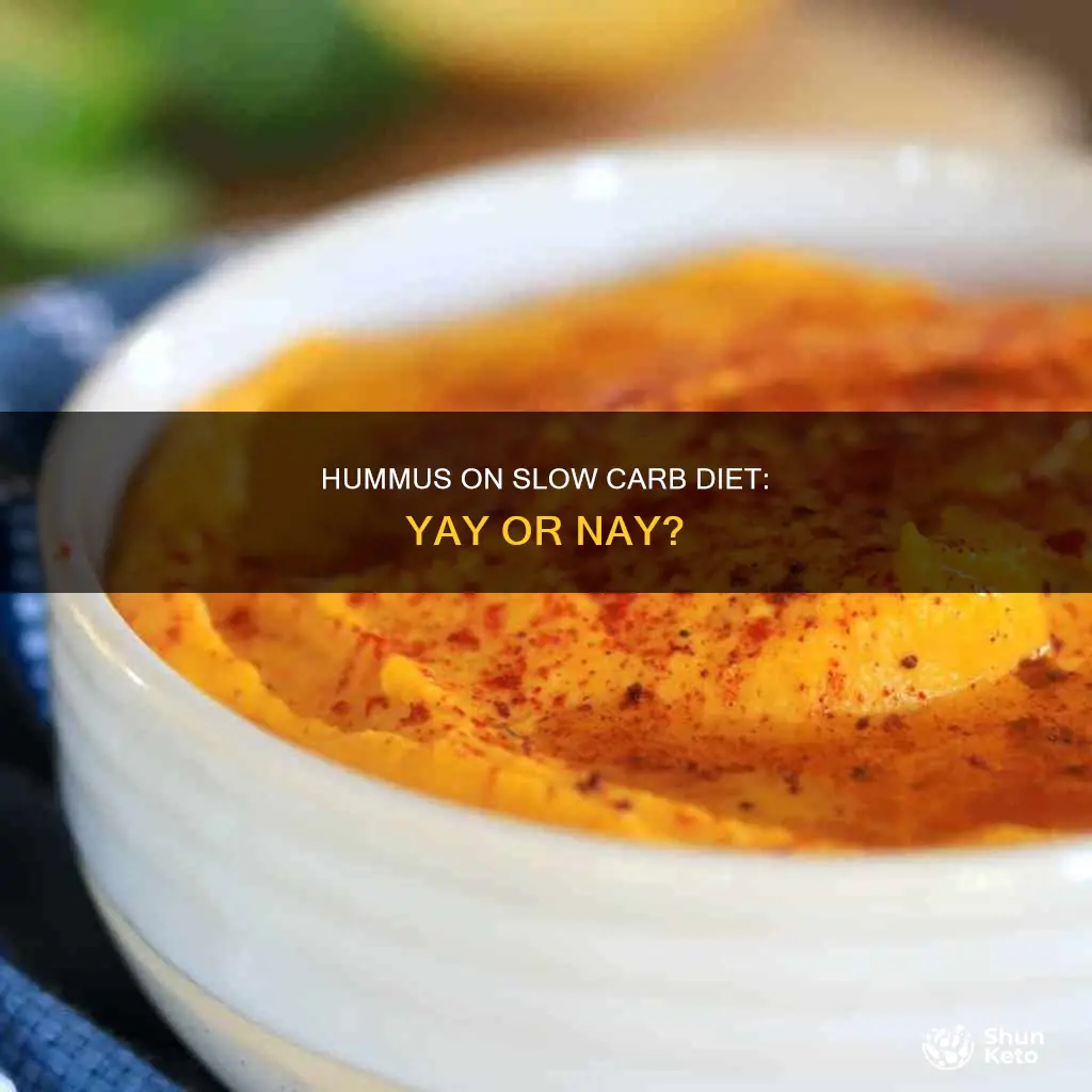Hummus On Slow Carb Diet: Yay Or Nay? | ShunKeto