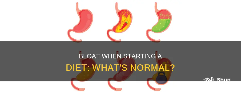 Bloat When Starting A Diet: What's Normal? | ShunKeto