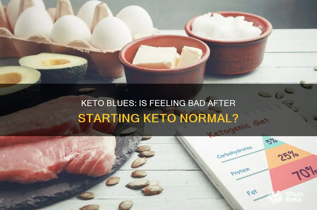 Keto Blues: Is Feeling Bad After Starting Keto Normal? | ShunKeto