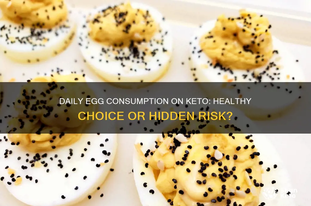 Daily Egg Consumption On Keto: Healthy Choice Or Hidden Risk? | ShunKeto