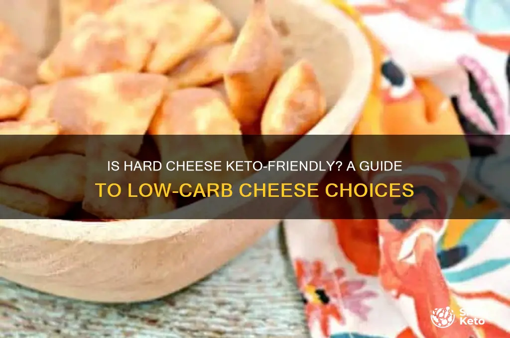 Is Hard Cheese Keto-Friendly? A Guide To Low-Carb Cheese Choices | ShunKeto