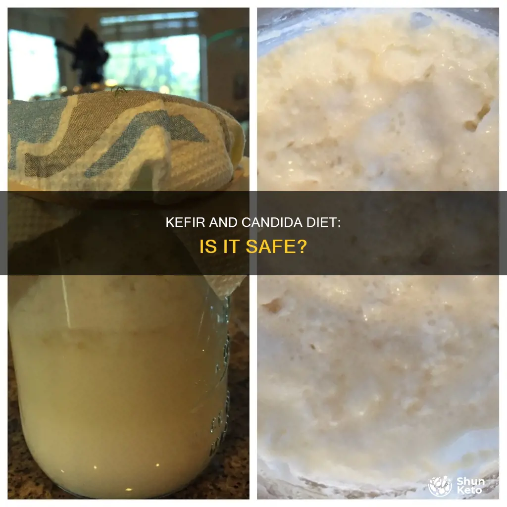 Kefir And Candida Diet: Is It Safe? | ShunKeto
