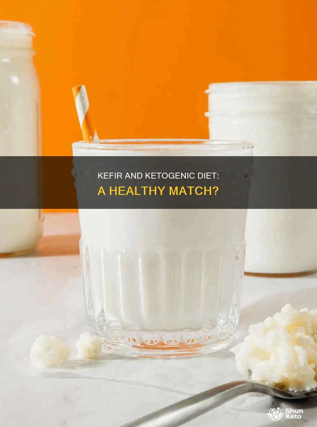 Kefir And Ketogenic Diet: A Healthy Match? | ShunKeto