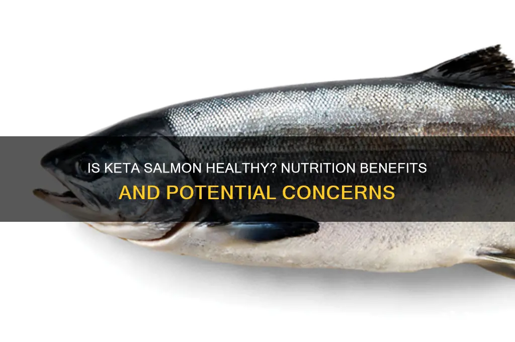 Is Keta Salmon Healthy? Nutrition Benefits And Potential Concerns ...