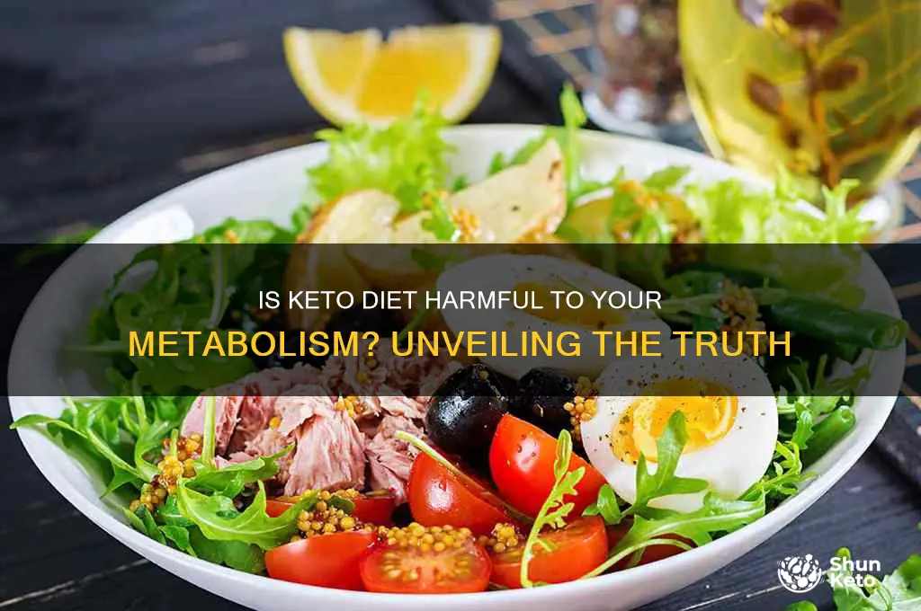 Is Keto Diet Harmful To Your Metabolism? Unveiling The Truth | ShunKeto