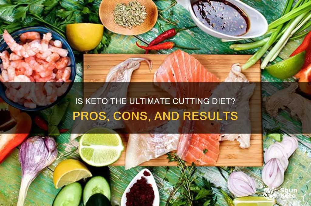 Is Keto The Ultimate Cutting Diet? Pros, Cons, And Results | ShunKeto