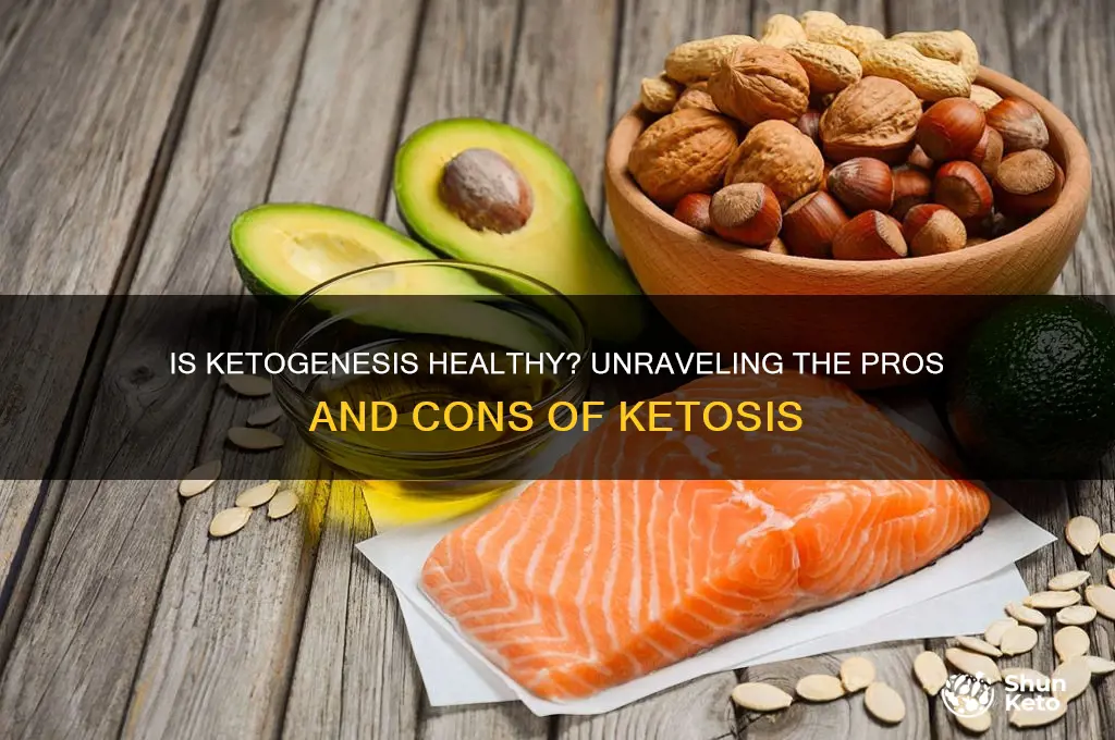 Is Ketogenesis Healthy? Unraveling The Pros And Cons Of Ketosis | ShunKeto