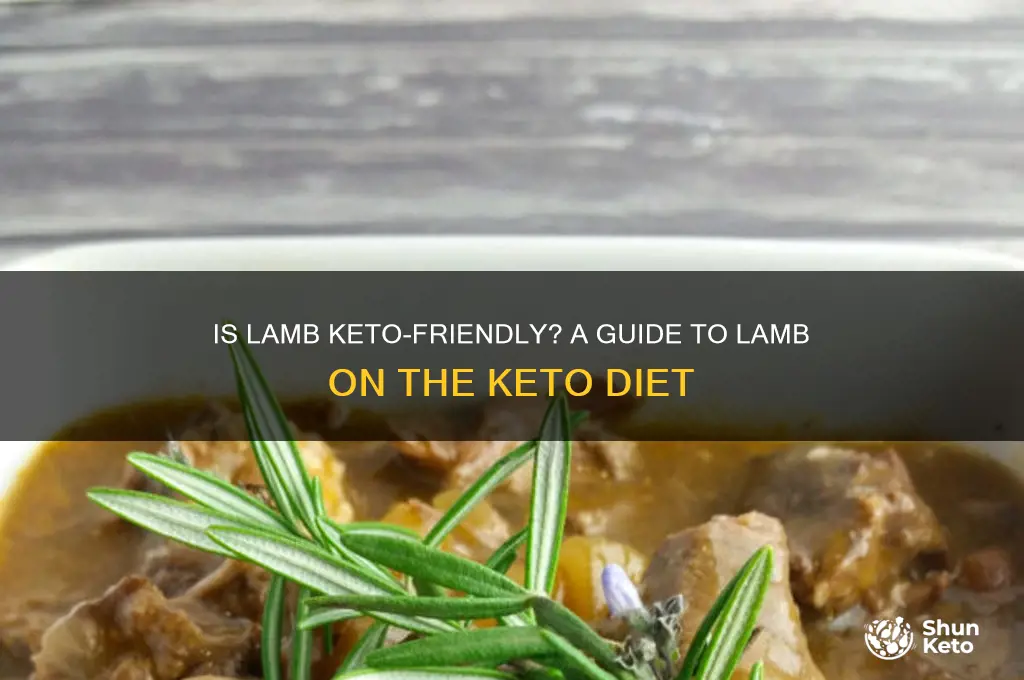 Is Lamb Keto-Friendly? A Guide To Lamb On The Keto Diet | ShunKeto
