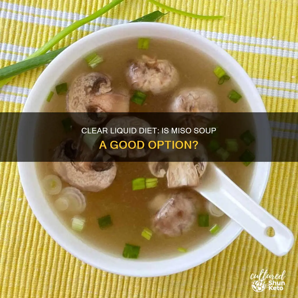 Clear Liquid Diet: Is Miso Soup A Good Option? | ShunKeto