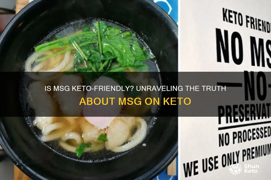 Is Msg Keto-Friendly? Unraveling The Truth About Msg On Keto | ShunKeto
