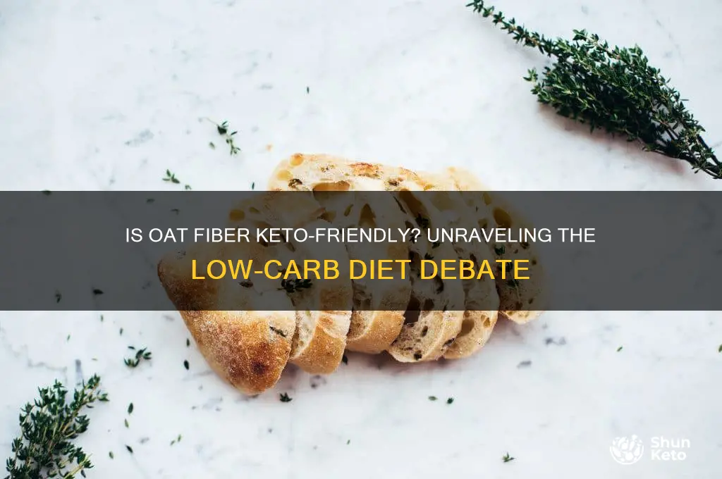 Is Oat Fiber Keto-Friendly? Unraveling The Low-Carb Diet Debate | ShunKeto