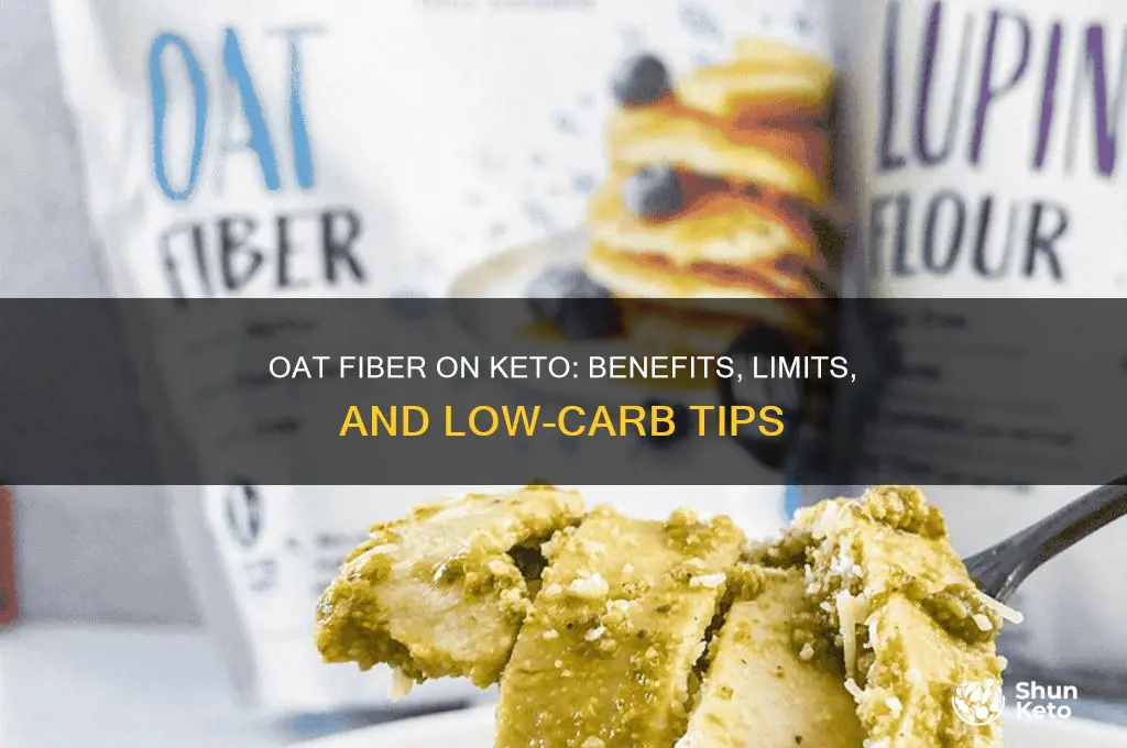 Oat Fiber On Keto: Benefits, Limits, And Low-Carb Tips | ShunKeto