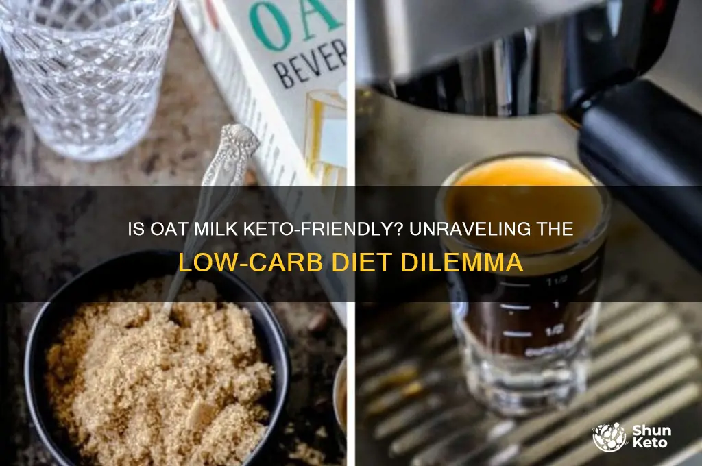 Is Oat Milk Keto-Friendly? Unraveling The Low-Carb Diet Dilemma | ShunKeto