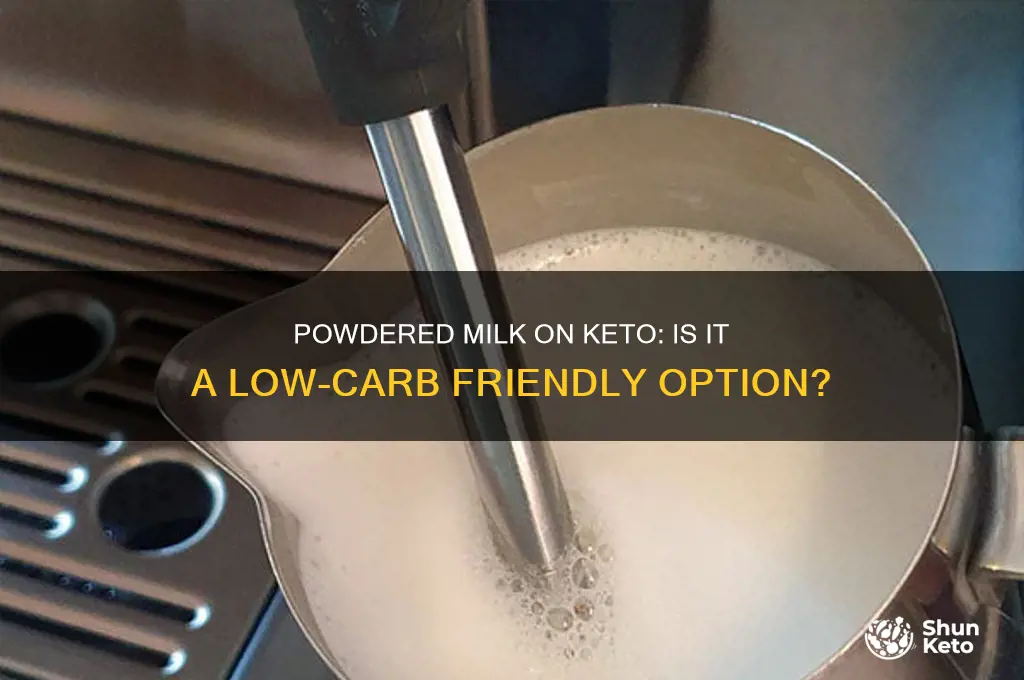 Powdered Milk On Keto: Is It A Low-Carb Friendly Option? | ShunKeto