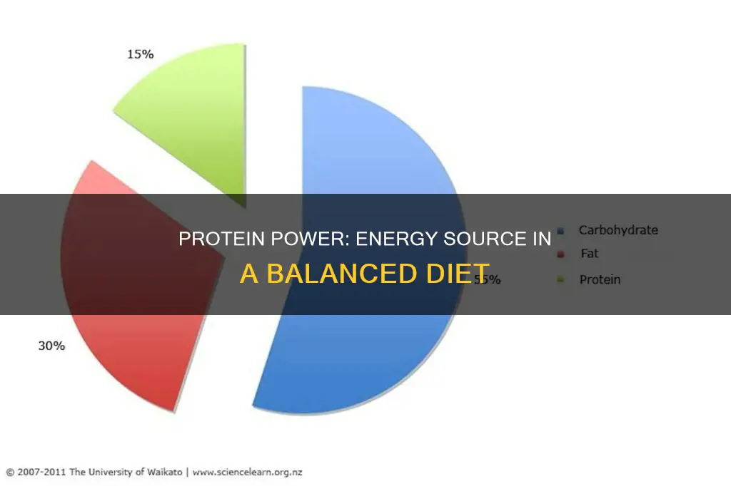 Protein Power: Energy Source In A Balanced Diet | ShunKeto