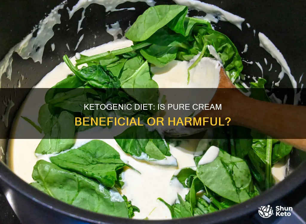 Ketogenic Diet: Is Pure Cream Beneficial Or Harmful? | ShunKeto