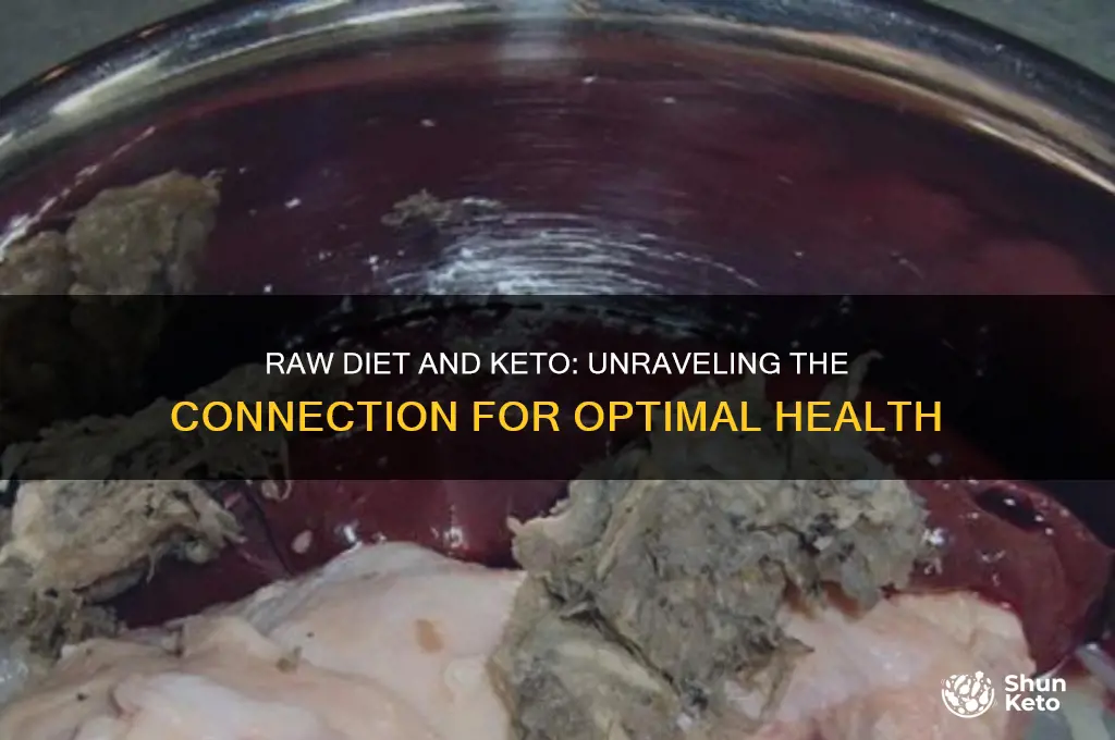 Raw Diet And Keto: Unraveling The Connection For Optimal Health | ShunKeto